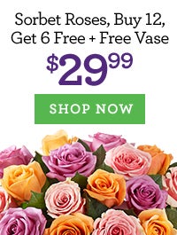 Magnificent Rose® 4 Feet Tall Red Roses | 1800Flowers.com - 103194